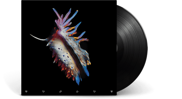 Vinyl | Sub Focus | Evolve