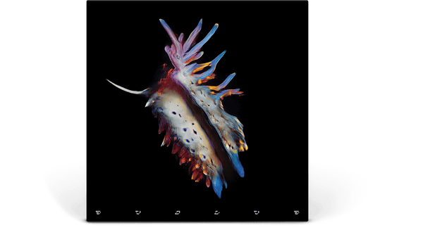 Vinyl | Sub Focus | Evolve (Ltd Lenticular Vinyl)