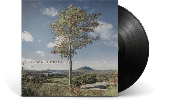 Vinyl | The Waterboys | All Souls Hill