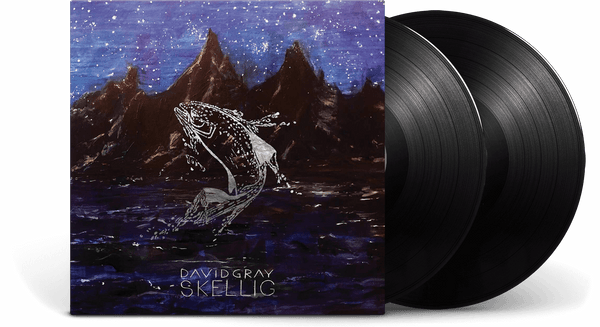 Vinyl | David Gray | Skellig